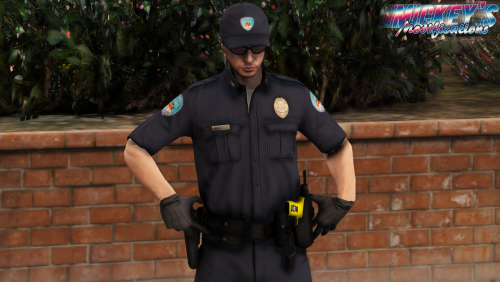 Mickey's Mods - Full Package (LSPD, BCSO Liveries & EUP) - EUP Files ...