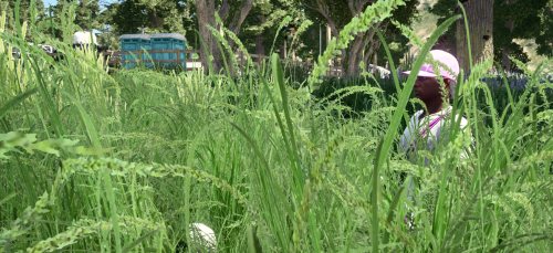 5k Grass and Vegetation MOD (FiveM) - Miscellaneous - LauncherLeaks