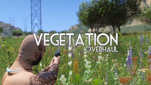 5k Grass and Vegetation MOD (FiveM) - Miscellaneous - LauncherLeaks