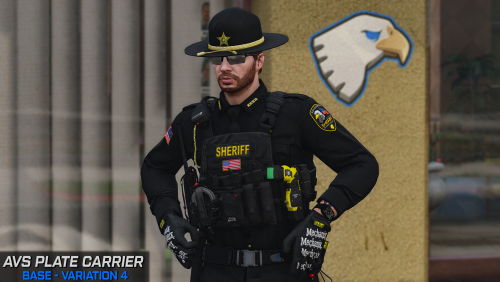 [PRIME EXCLUSIVE] TLS Crye AVS Plate Carrier - Prime/Ultimate ...