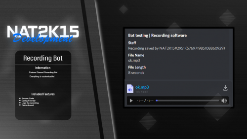 nat2k15 Discord Recording Bot - NAT2K15 - LauncherLeaks