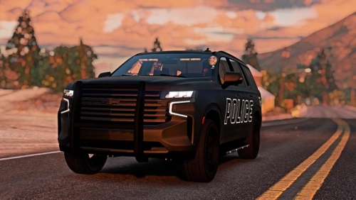 Bagged Customs two leo cars! - Vehicles - LauncherLeaks