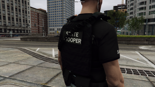 SAHP/GANG UNIT Patches For TLS Crye AVS Plate Carrier - EUP Files ...