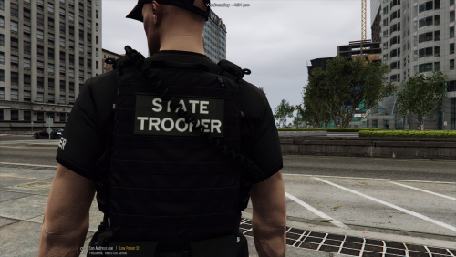 SAHP/GANG UNIT Patches For TLS Crye AVS Plate Carrier - EUP Files ...