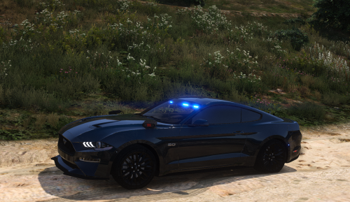 infidel SASP pack - ELS / LSPDFR - LauncherLeaks