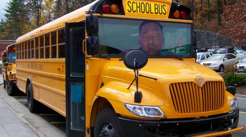 Bus Emotes (BusMods) - ESX - LauncherLeaks