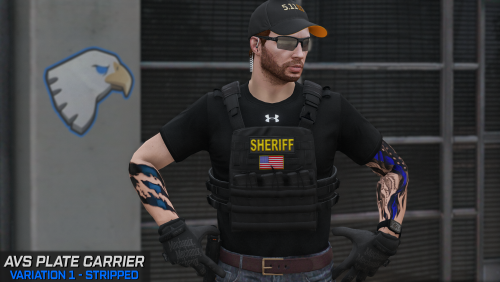 CRYE AVS PLATE CARRIER [LSPDFR + FIVEM] - ThinLineSanctuary - LauncherLeaks