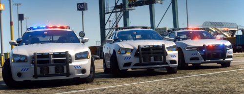 2021 Valor Pack - made by TrooperCorentin - Misc. LEO - LauncherLeaks