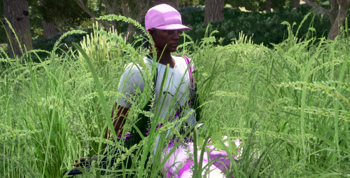 [FIVEM] ULTIMATE TREE PACK (includes trees and grass) - MLO - LauncherLeaks