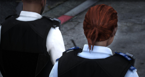 METROPOLITAN POLICE ERPT + PCSO RESPONSE BUNDLE - UK / British ...