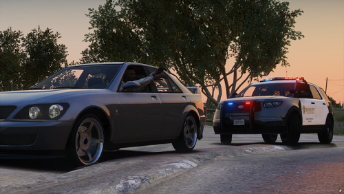 Advanced Police Animations - Miscellaneous - LauncherLeaks