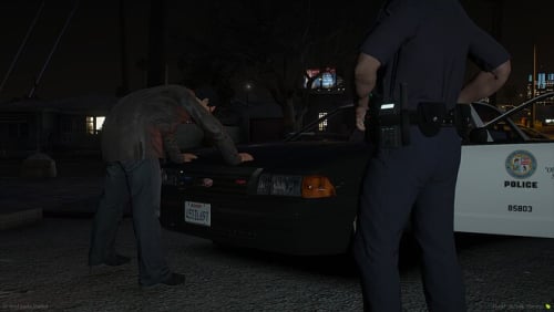 Advanced Police Animations - Miscellaneous - LauncherLeaks