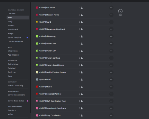 CaliRP Discord Clone | California Roleplay Main Discord - Server ...