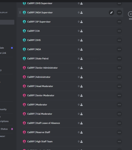 CaliRP Discord Clone | California Roleplay Main Discord - Server ...