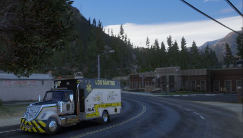 Code 3 Development - International Lonestar ALS ambulance - Misc. Fire ...